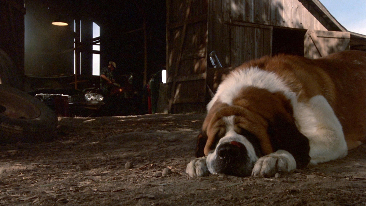 Cujo – Blu-Ray Review
